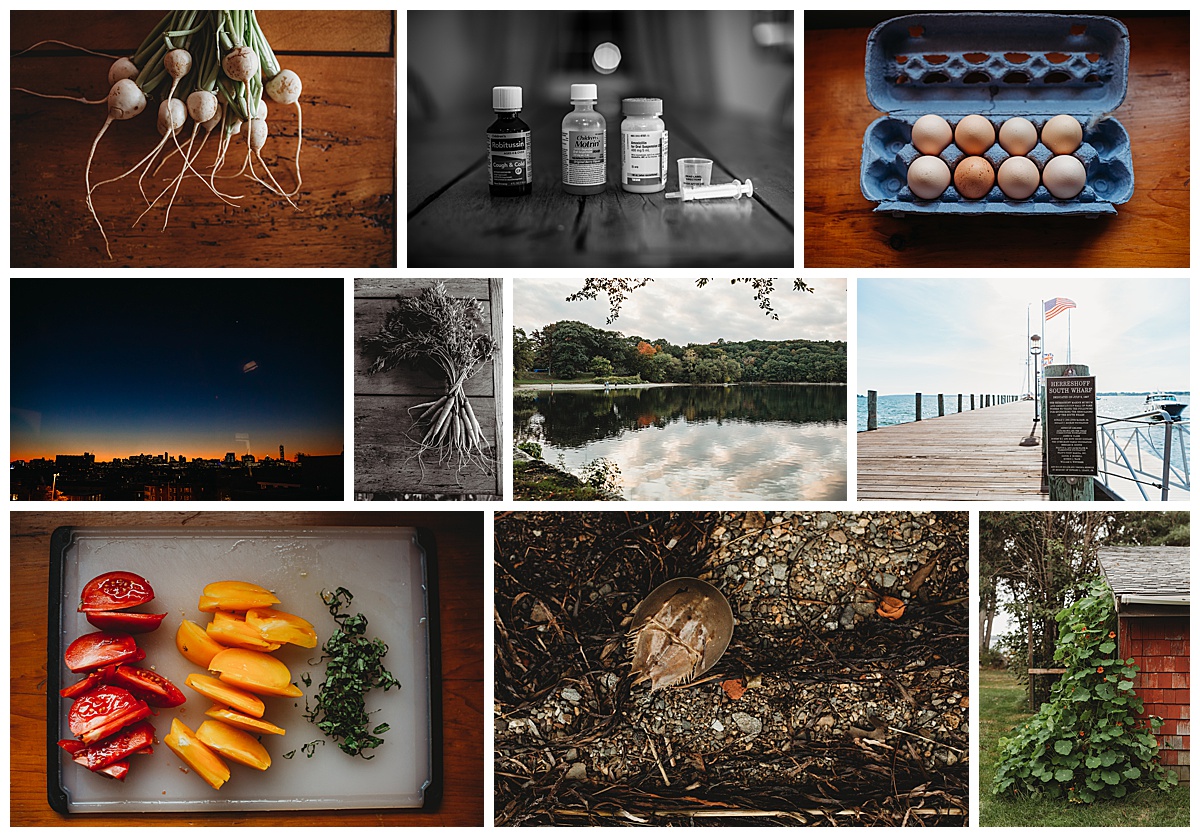 365 Photo Project | How To Have A Successful Year