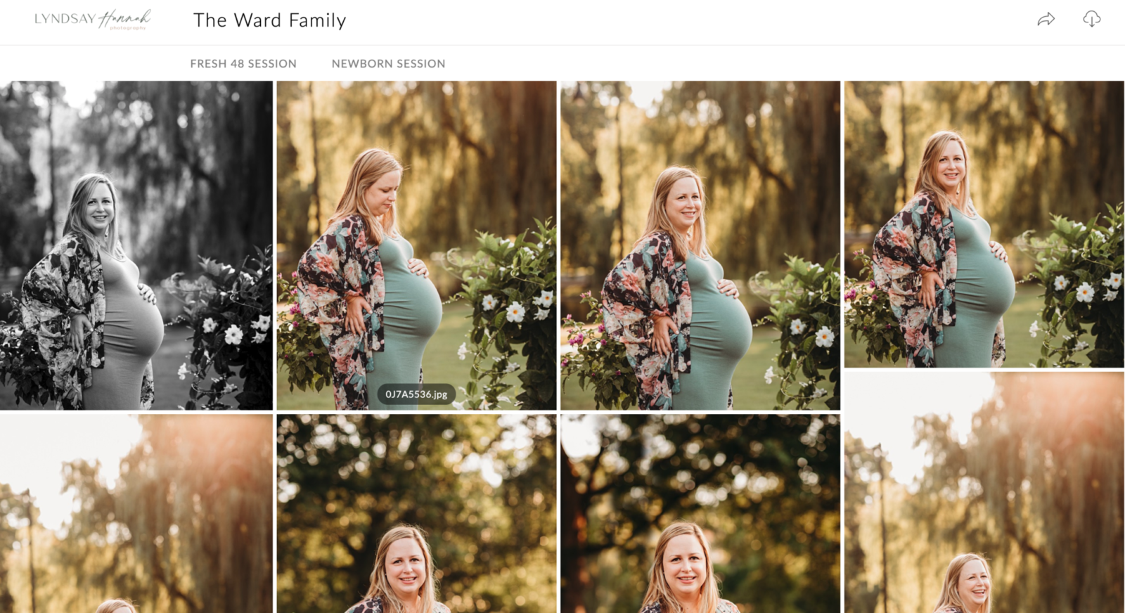 How To Design a Family Album | Boston Photographer